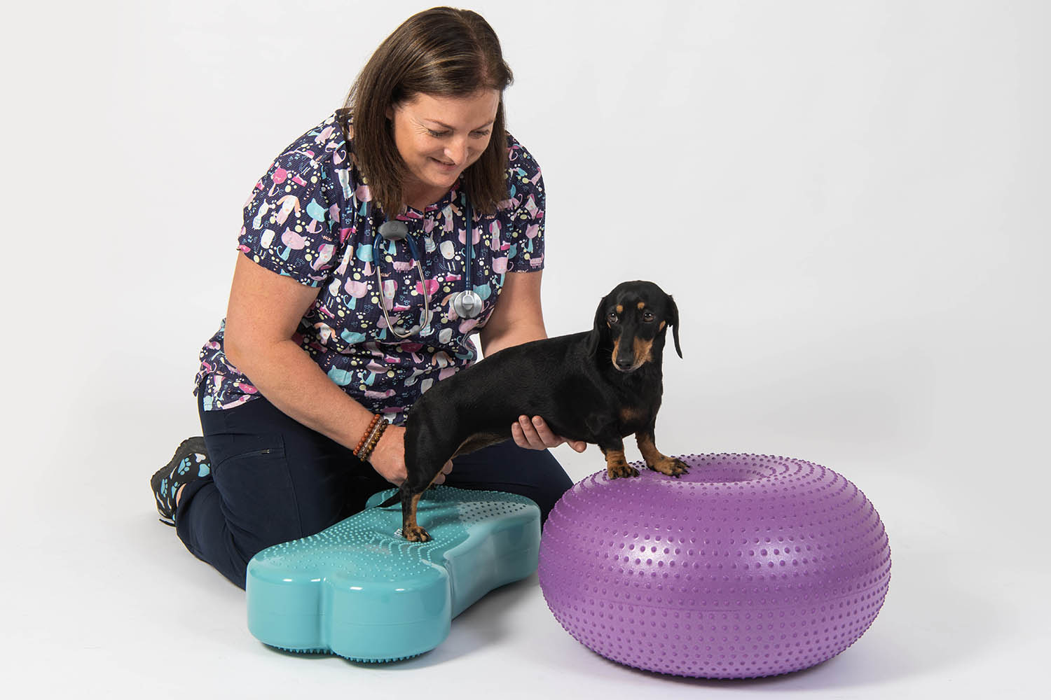 Services | Central West Rehab Vet